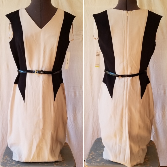 White House Black Market | Dresses | Neutral Colorblock Dress | Poshmark